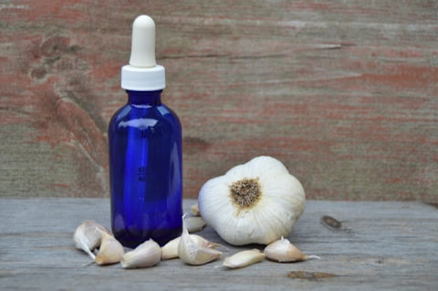 Garlic Oil for Ear Infections - Real Food RN