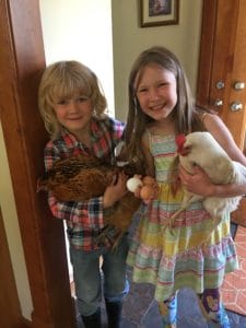 How We Lovingly Healed Our Chicken With a Broken Neck - Real Food RN