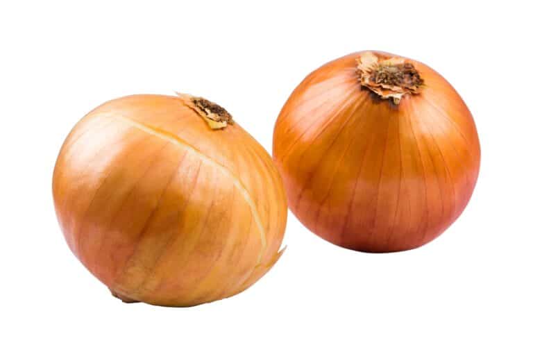 How to Make an Onion Poultice to Relieve Chest & Cough Congestion ...